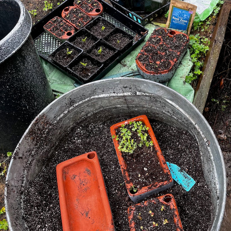 DIY Homemade Potting Soil and Seed Starting Mix – Orta Gardens