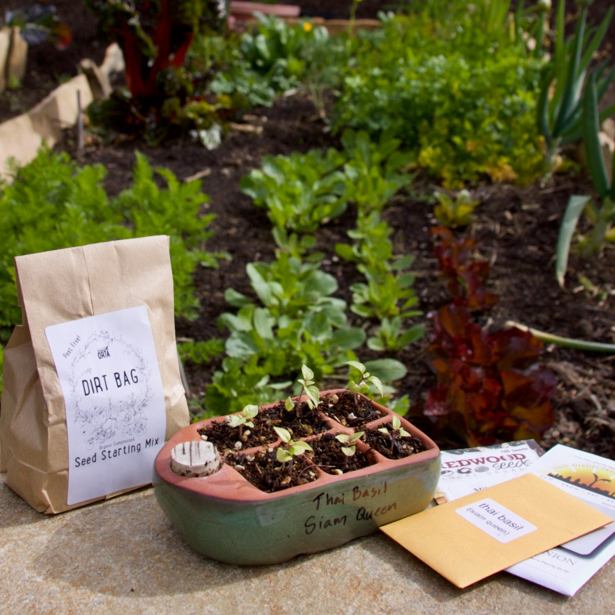 Factory Second Herb Starter Kit – Orta Gardens